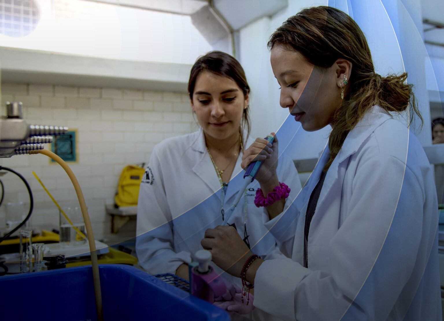 Coordinación de Educación Continua UAM-X – Coordinación de Educación Continua de la UAM Xochimilco